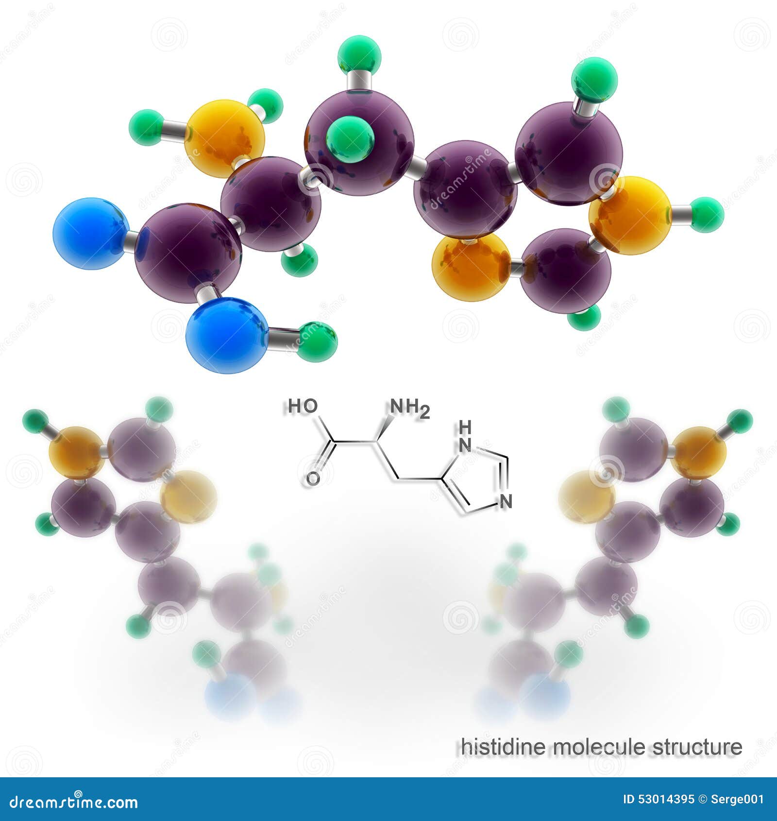 Histidine Molecule Structure Stock Illustration - Illustration of amino ...