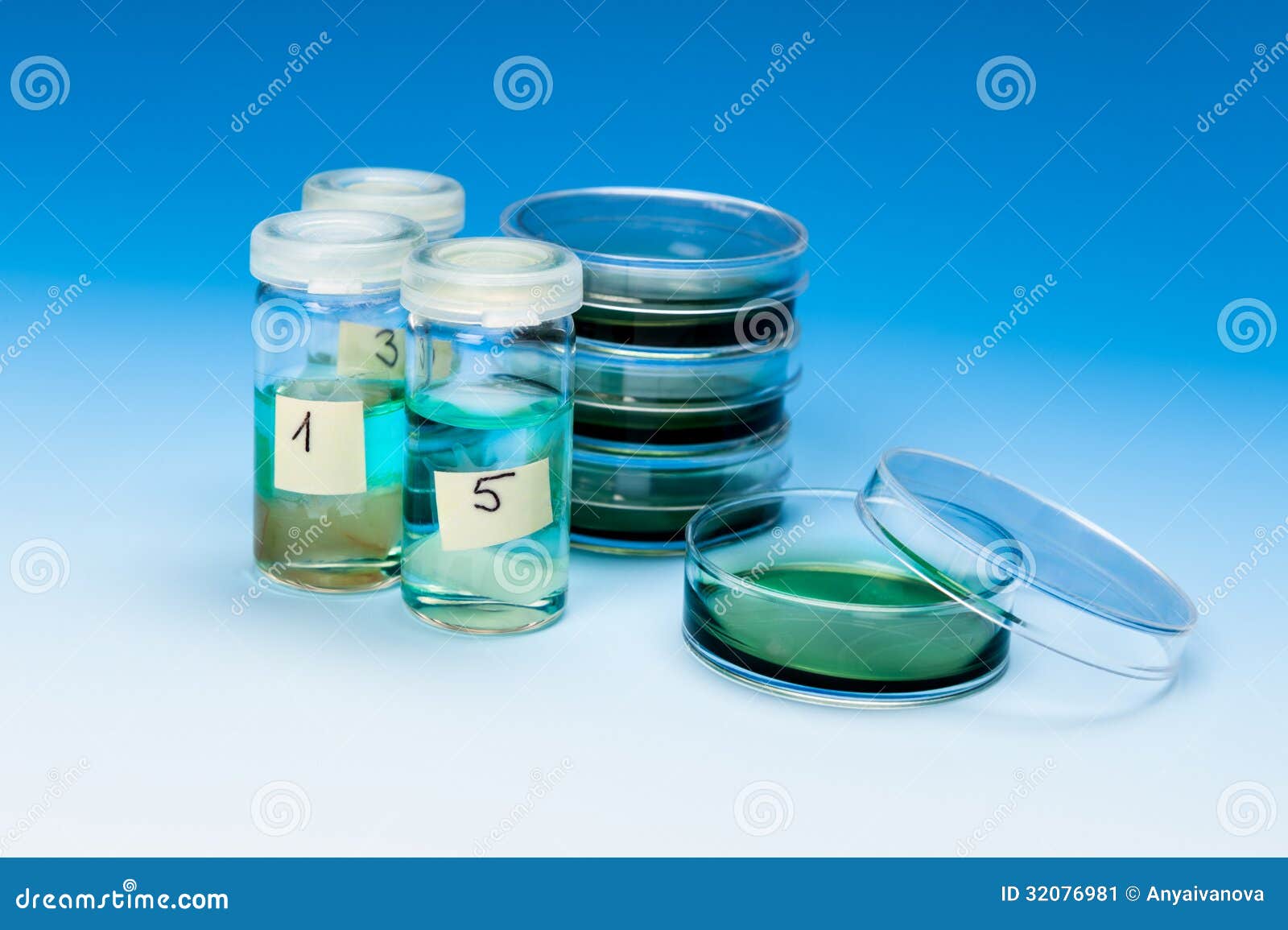Histological Tissue Samples Stock Image - Image of assay, liquid: 32076981