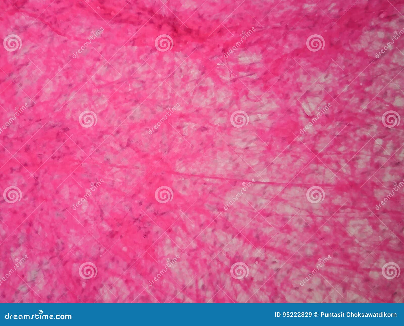 Histology of Human Areolar Tissue Stock Image - Image of organs ...
