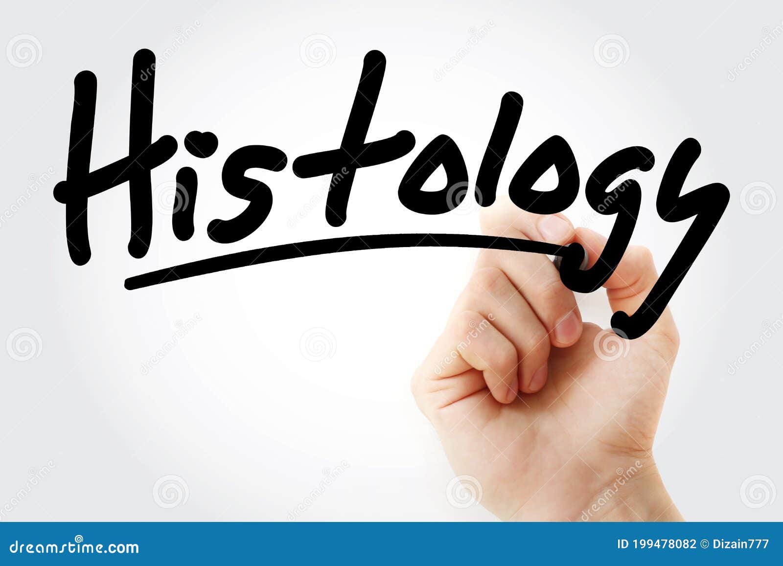 Histology text with marker stock photo. Image of histology - 199478082 Histology text with marker stock photo. Image of histology - 199478082