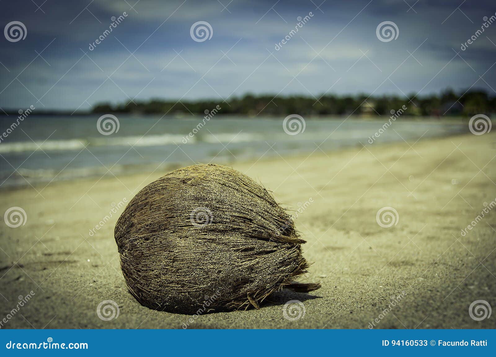 Historia del coco imagen de archivo. Imagen de amigo - 94160533