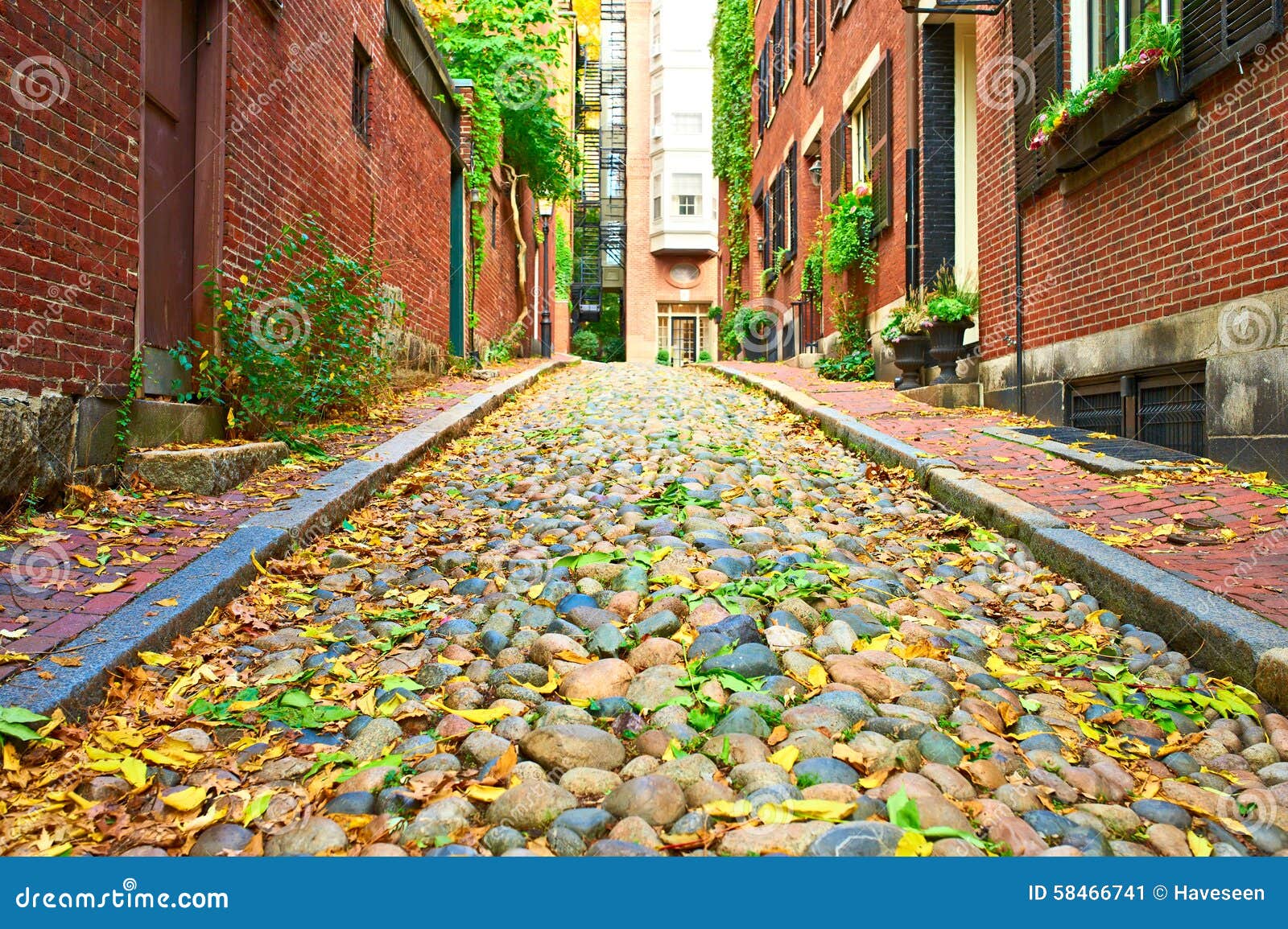 Historic Acorn Street at Boston Stock Image - Image of national ... Historic Acorn Street at Boston Stock Image - Image of national ...