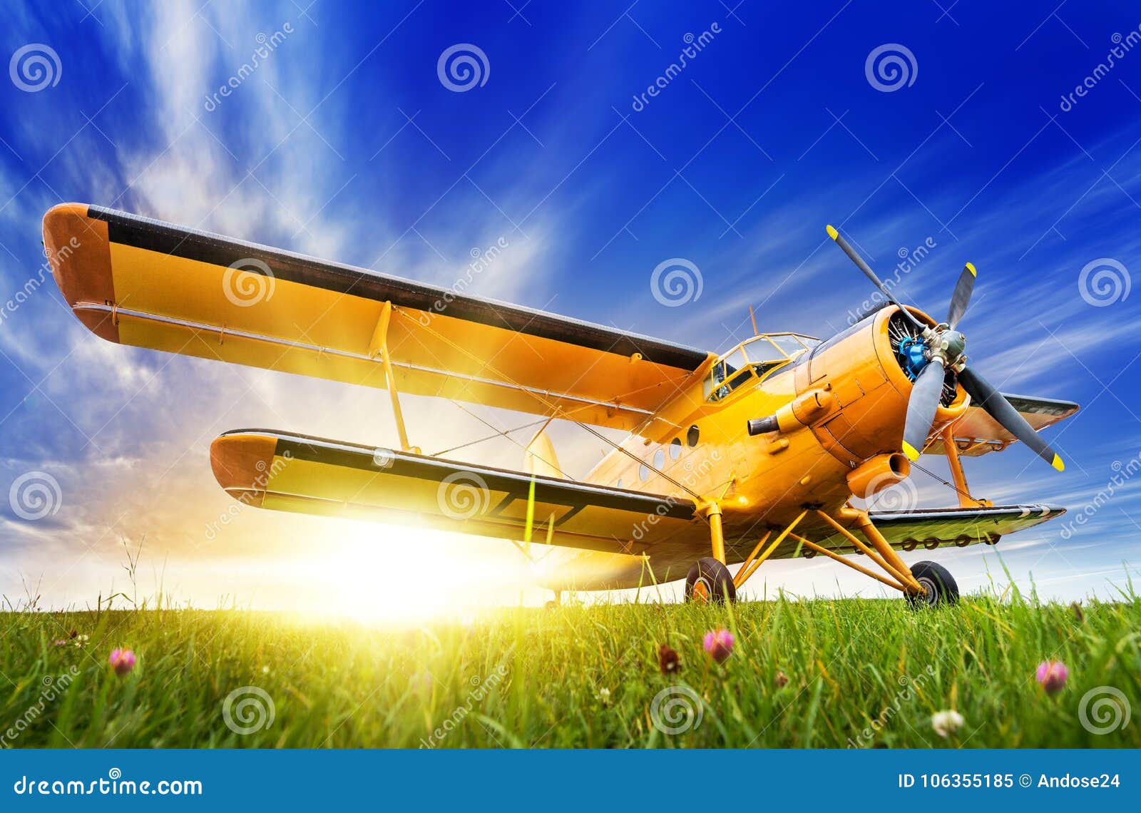 Historic biplane stock image. Image of biplane, historic - 106355185