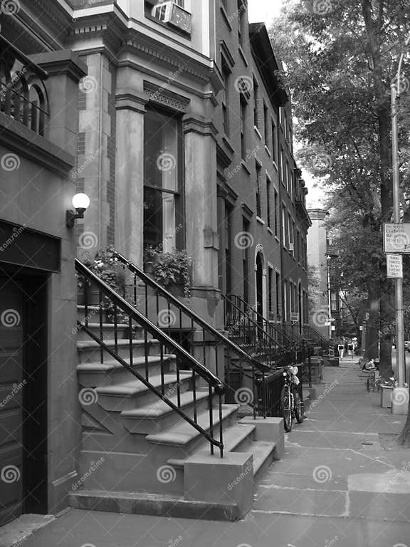 Historic Brooklyn Brownstones Stock Photo - Image of trees, monochrome ...