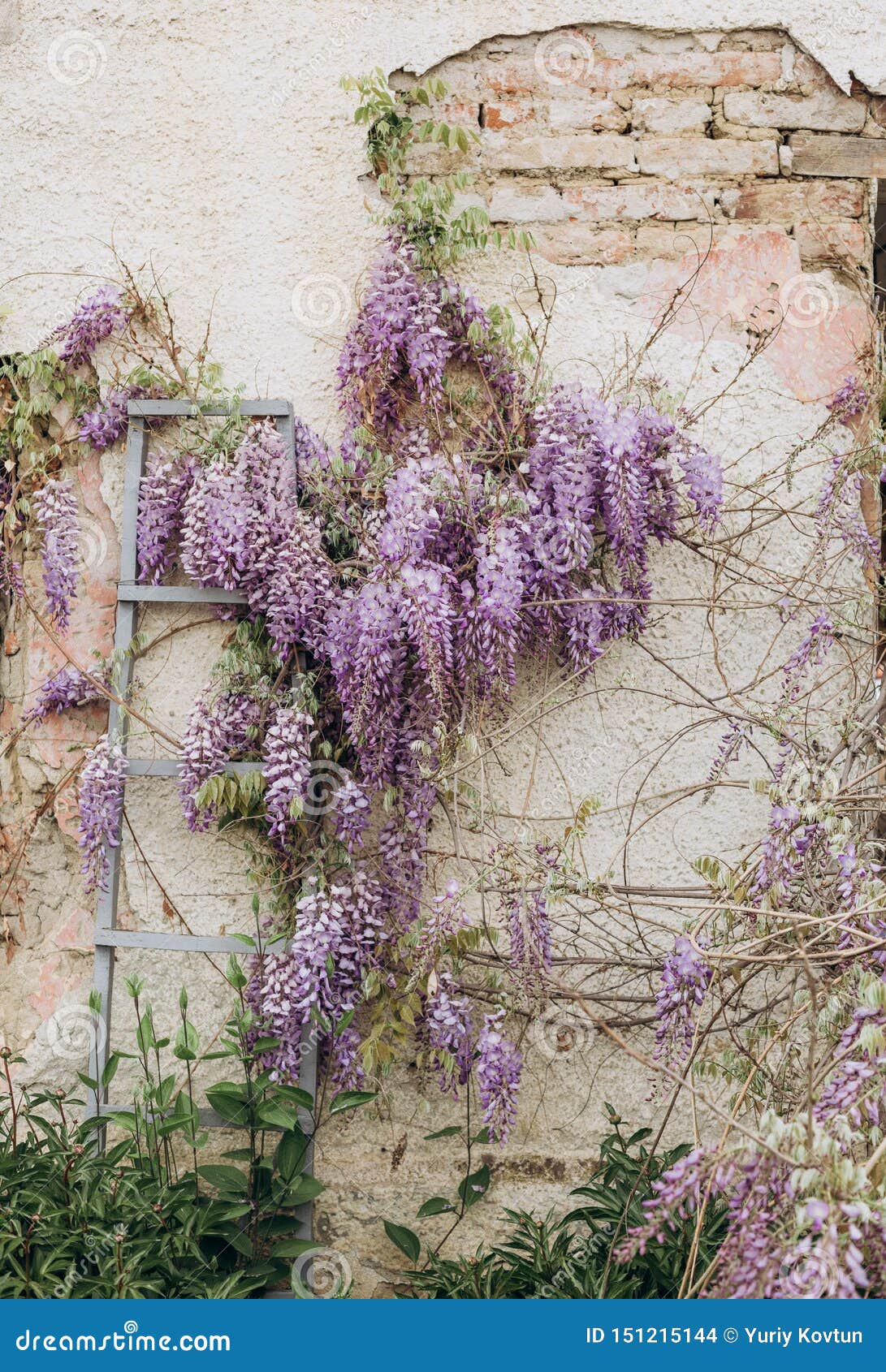 Historic Building Architecture Texture Old Arch Terrace Stock Photo ...