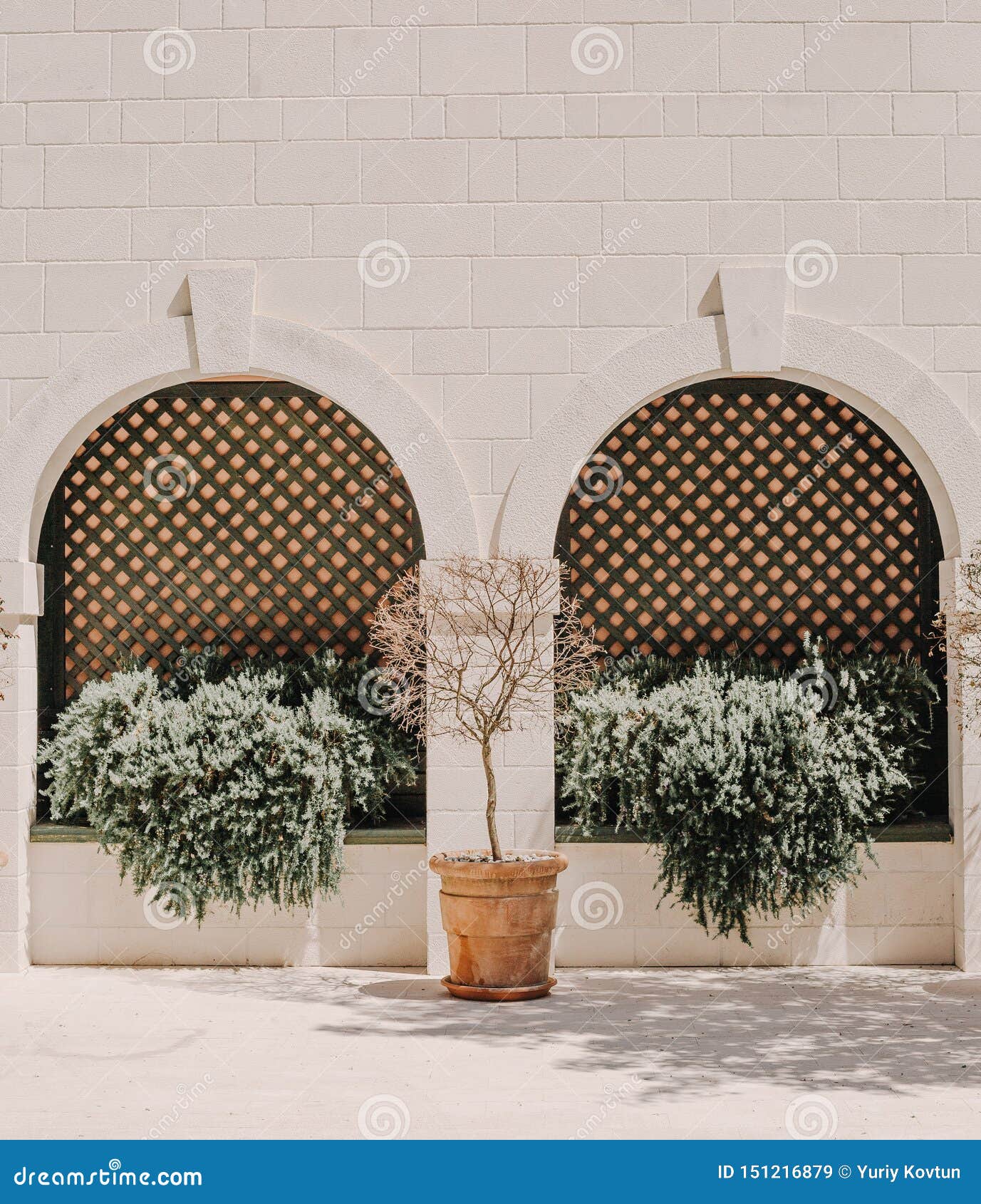 Historic Building Architecture Texture Old Arch Terrace Stock Image ...