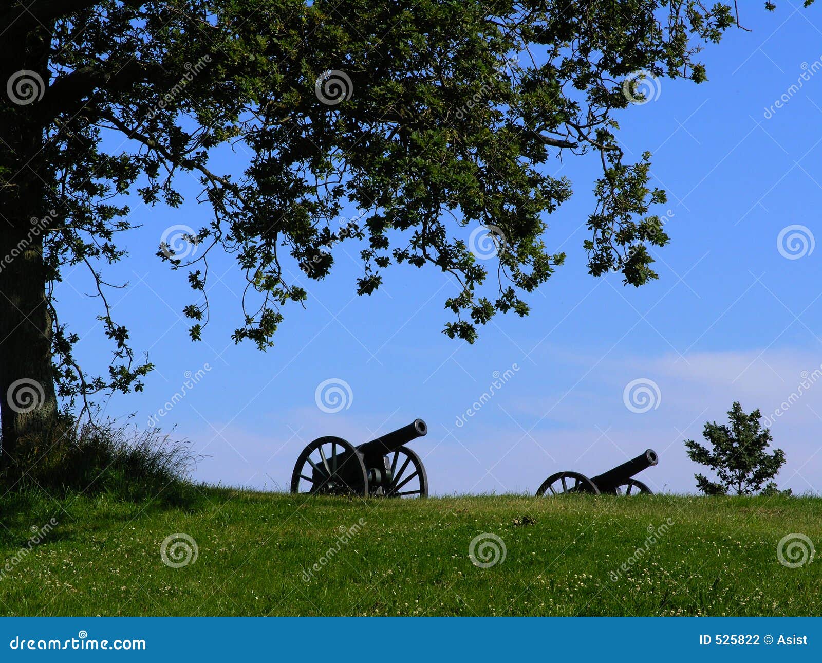 Historic cannons stock photo. Image of site, green, denmark - 525822