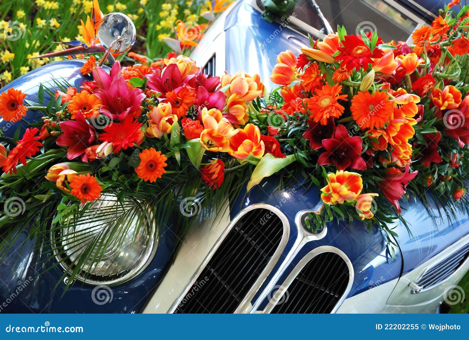 Historic Car and Flowers stock image. Image of hood, wedding - 22202255