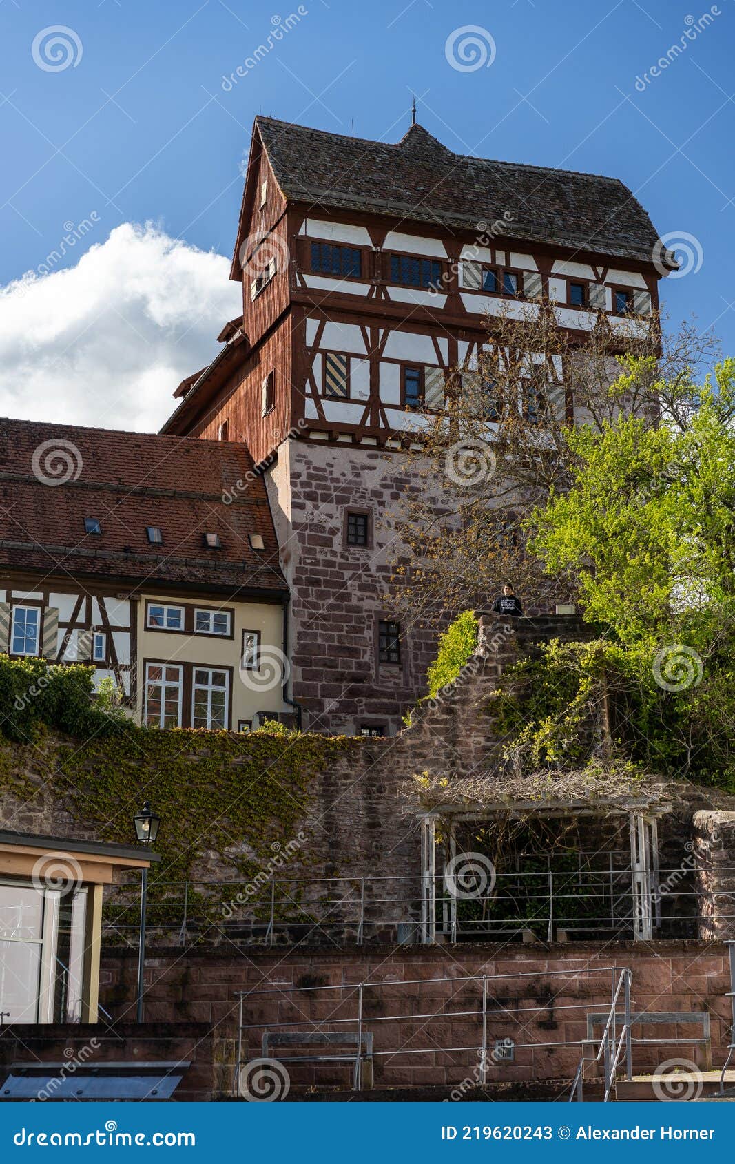 Historic Castle in the Black Forest Stock Image - Image of altensteig ...
