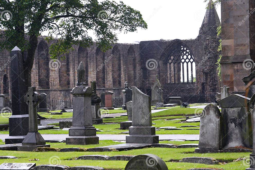 Historic Cemetery in Scotland Stock Photo - Image of flora, grass: 20091622