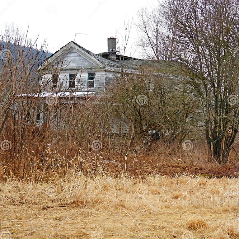 Historic Collapsed Whitewashed Farmhouse UpstateNY Stock Image - Image ...