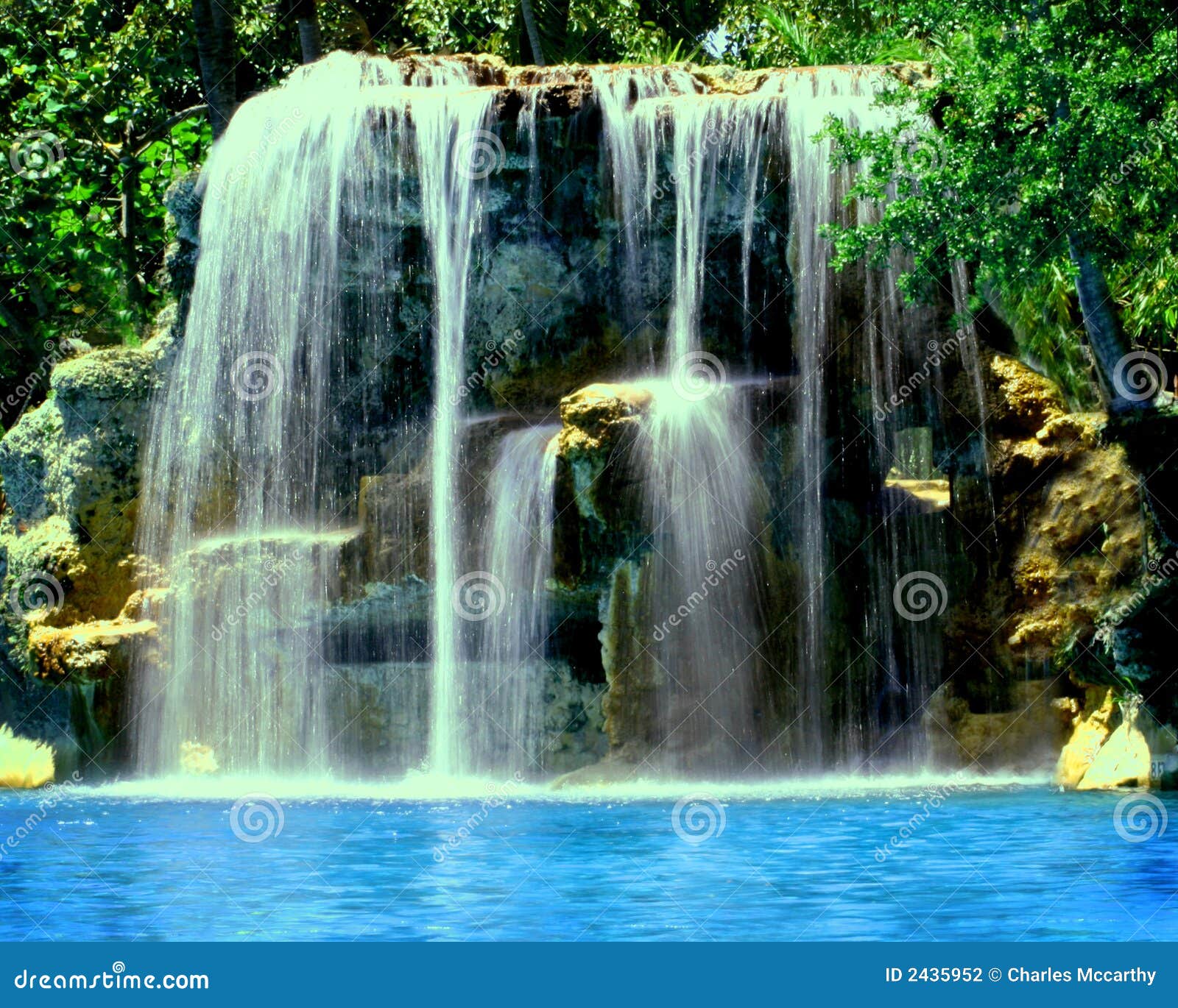 Historic Florida Venetian Pool Stock Photo - Image of beautiful, coral ...