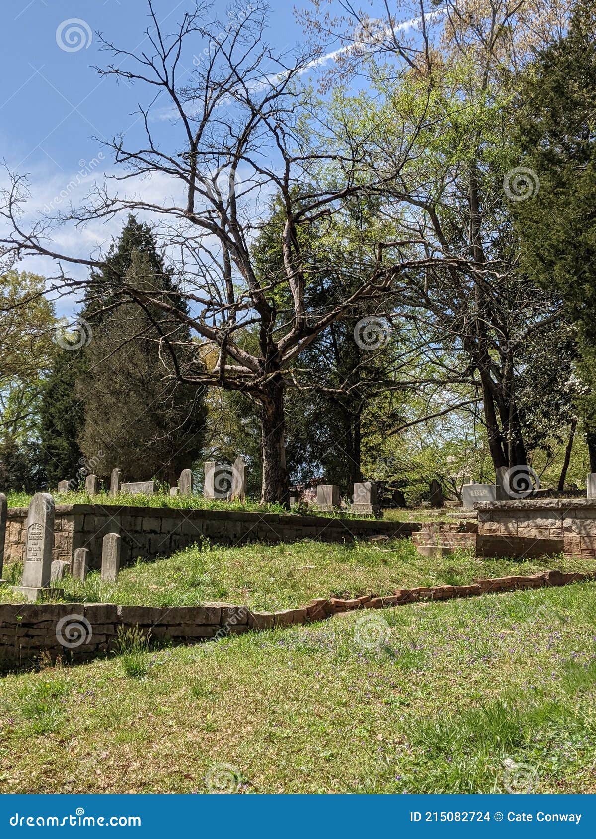 Historic Southern Graveyard, Cemetery Headstone Editorial Stock Image ...