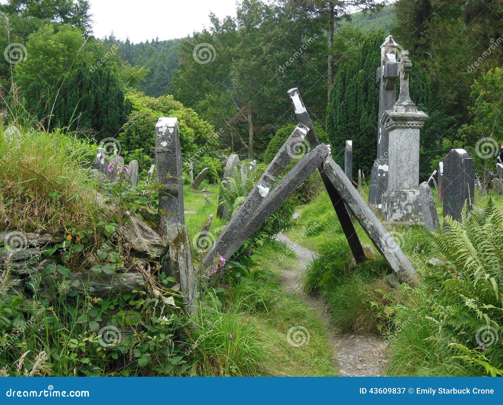 Historic Graveyard in Ireland Stock Image - Image of ruins, halloween ...