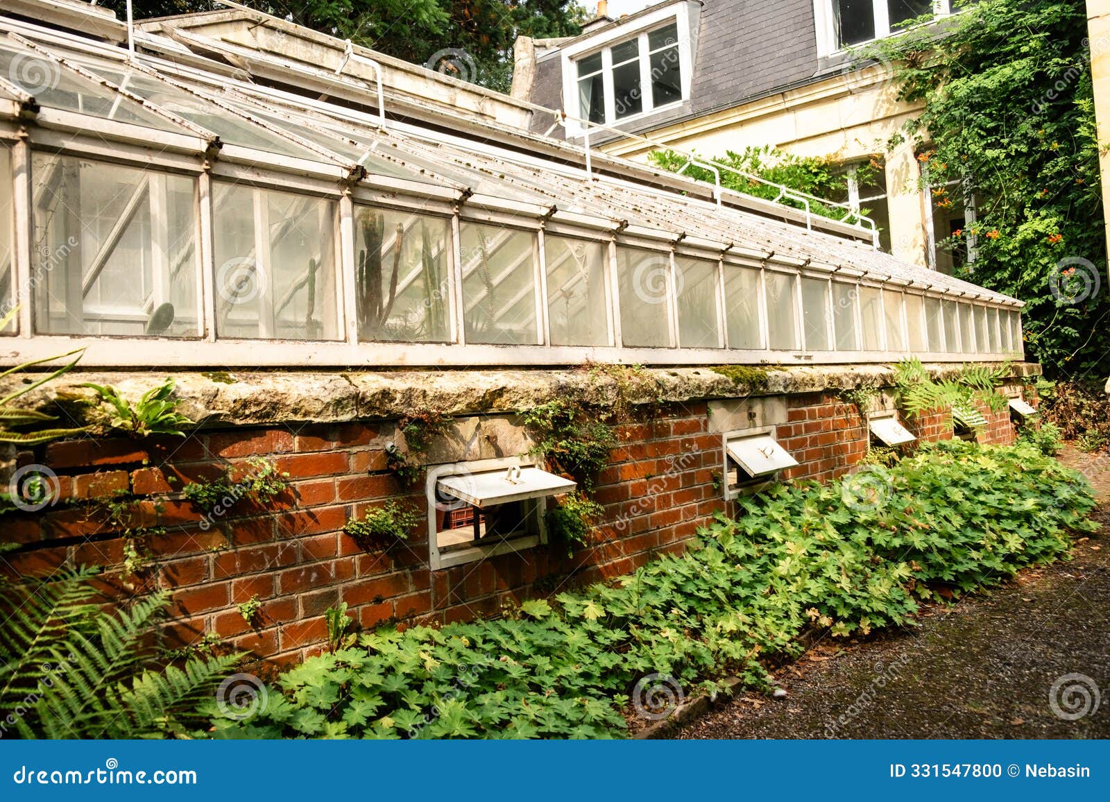 Historic Greenhouse with Brick Foundation Covered in Greenery and Vines ...