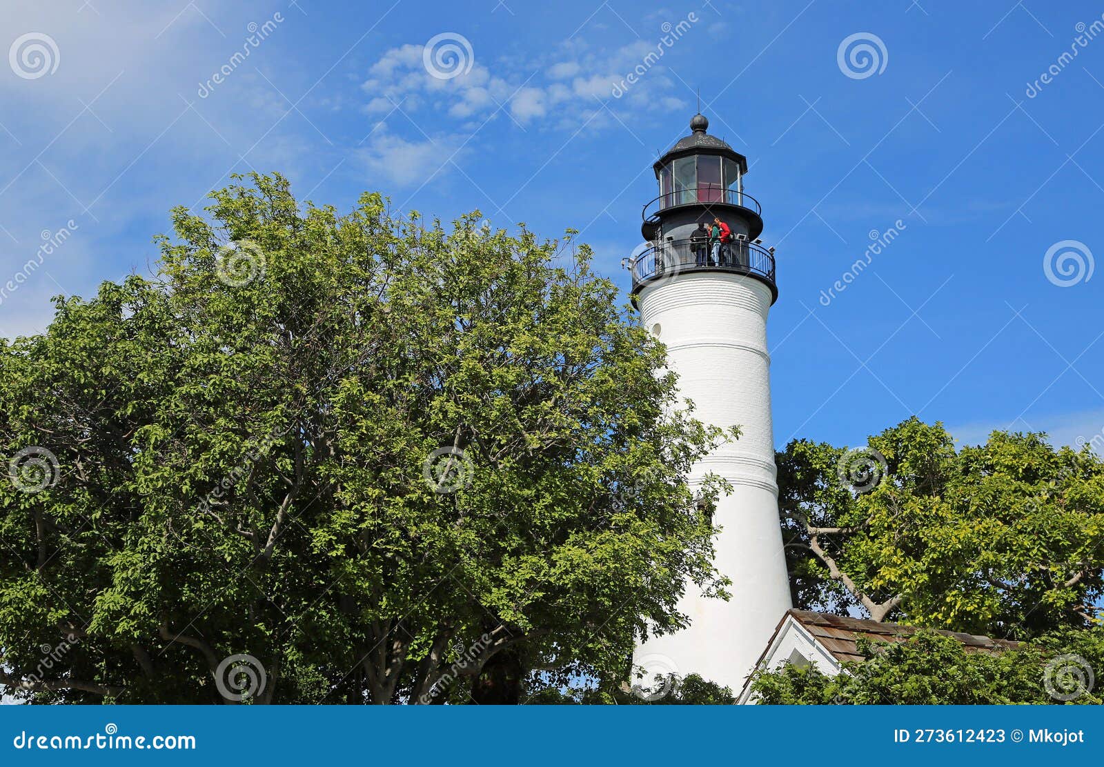 Trees and Key West Lighthouse Stock Image - Image of ocean, historic ...