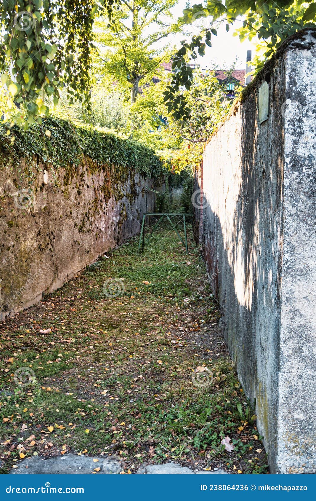 Historic Mysterious Ivy Back Alley Editorial Photo - Image of rolle ...