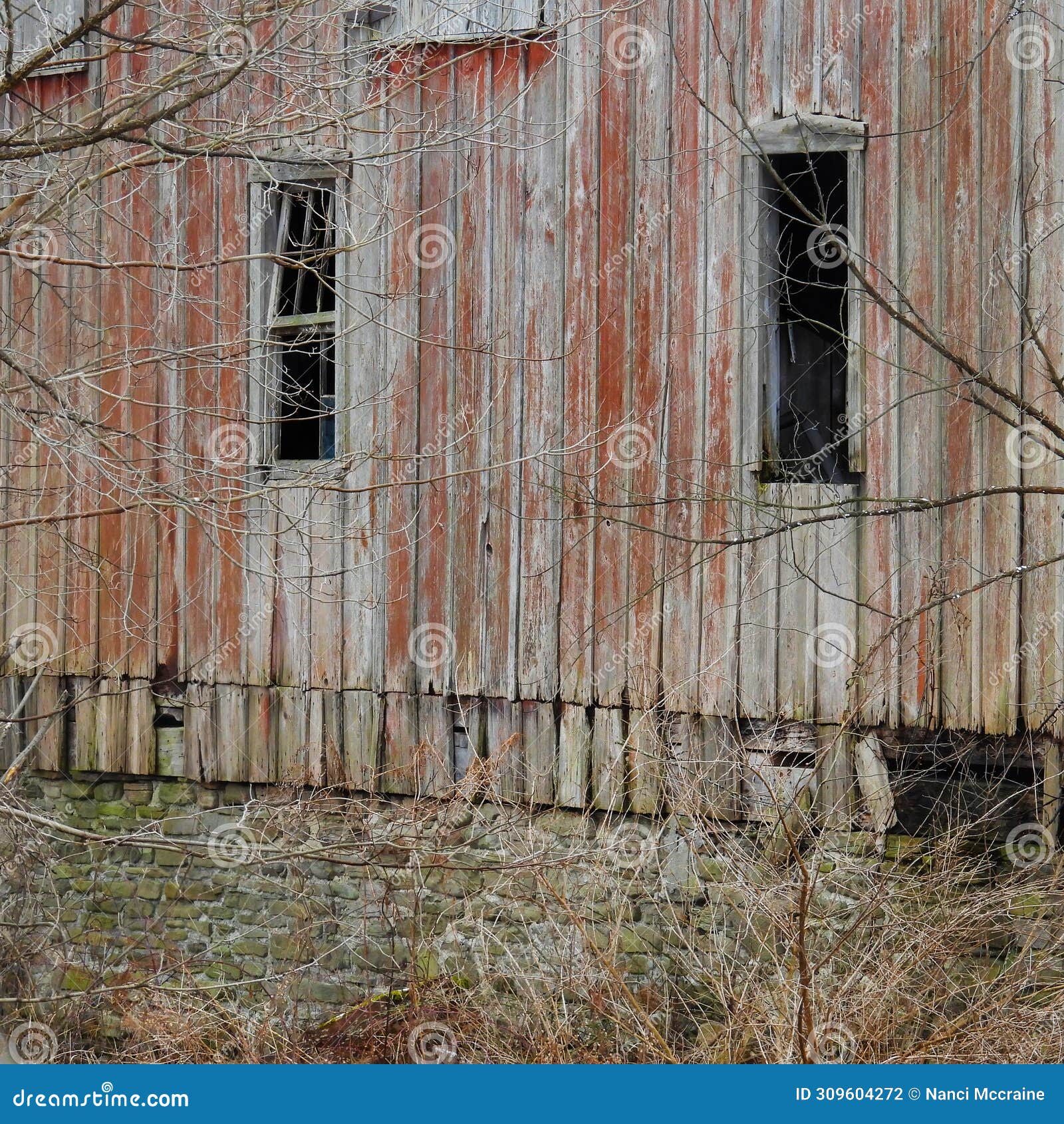 Historic Red Wood Barn Detail with Stone Foundation in UpstateNY Stock ...