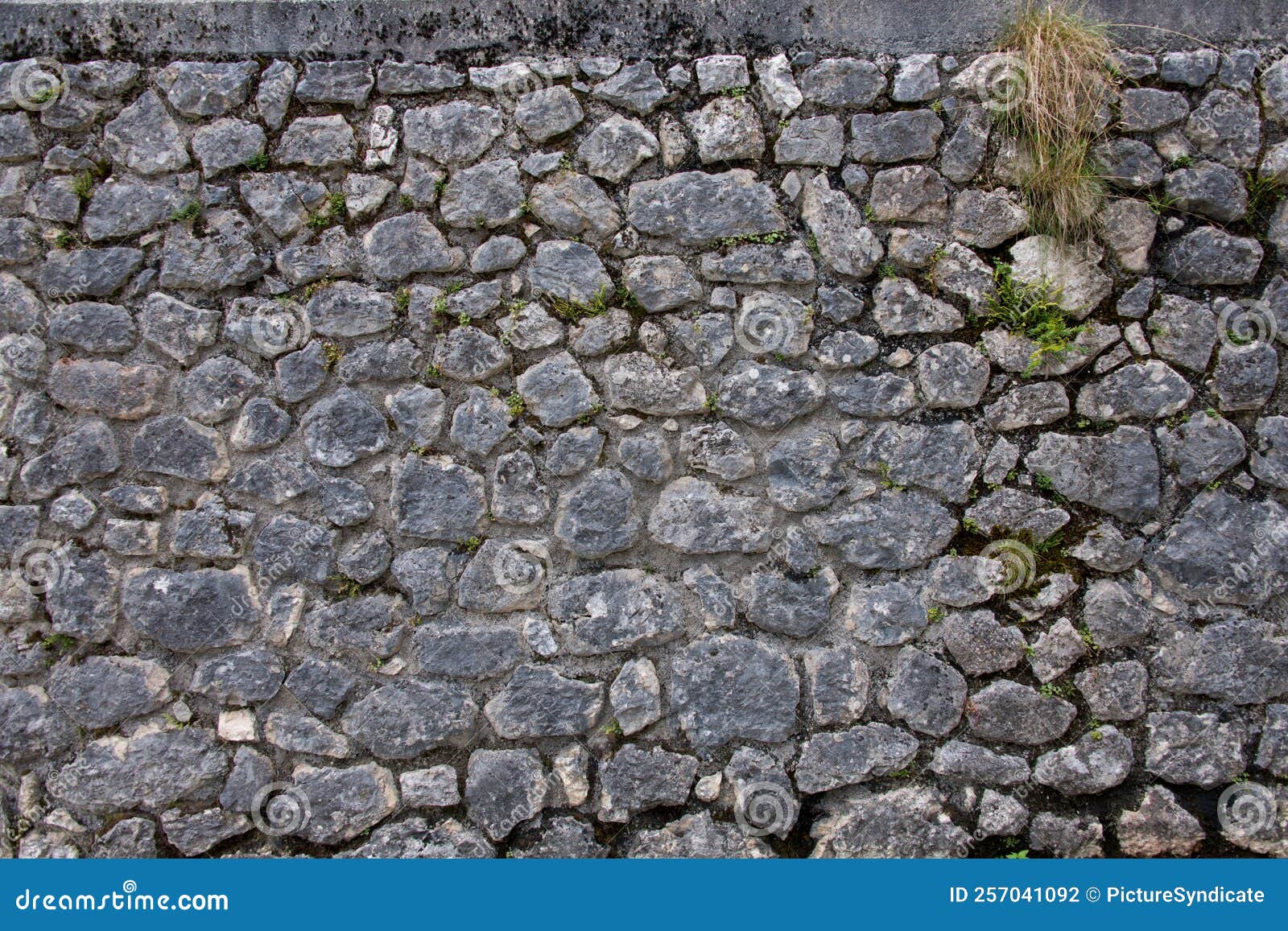 Historic Round Shaped Structured Facade Background Rectangular Stock ...