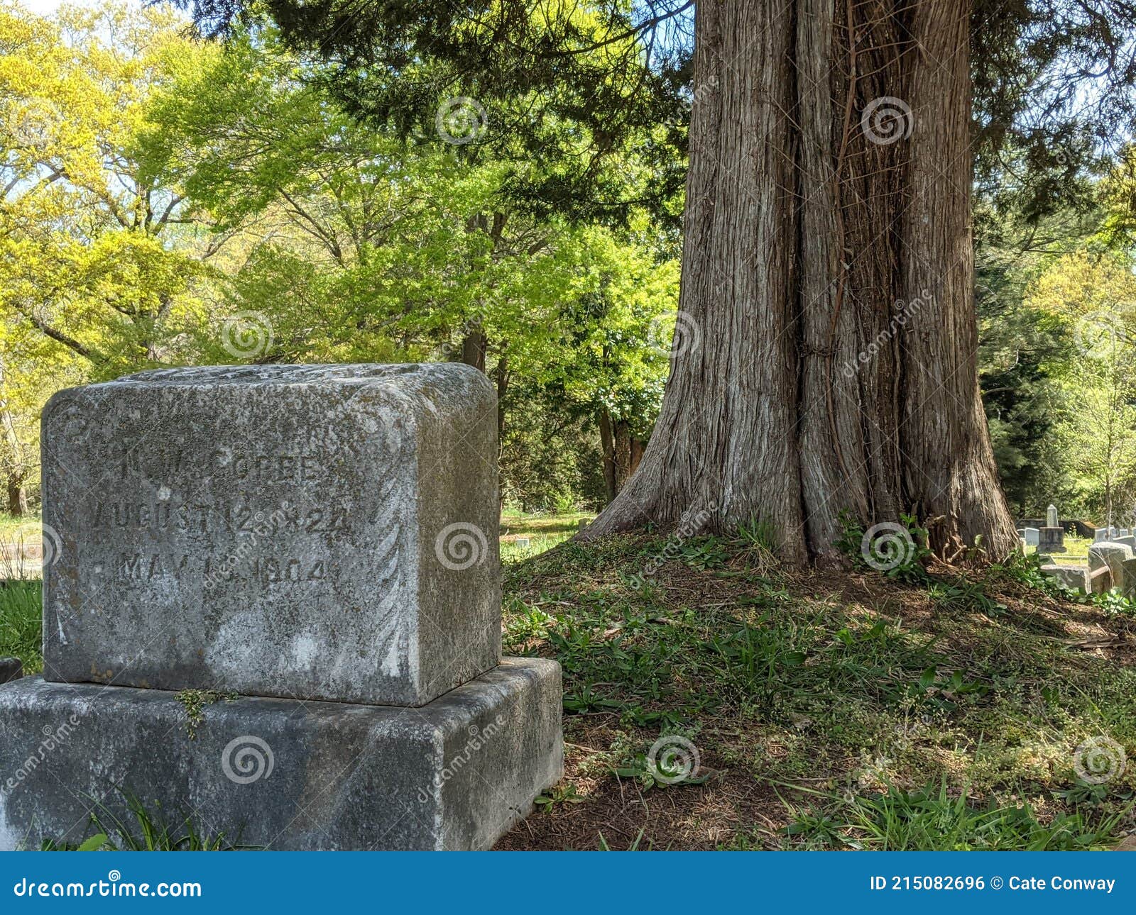 Historic Southern Graveyard, Cemetery Headstone Editorial Photo - Image ...