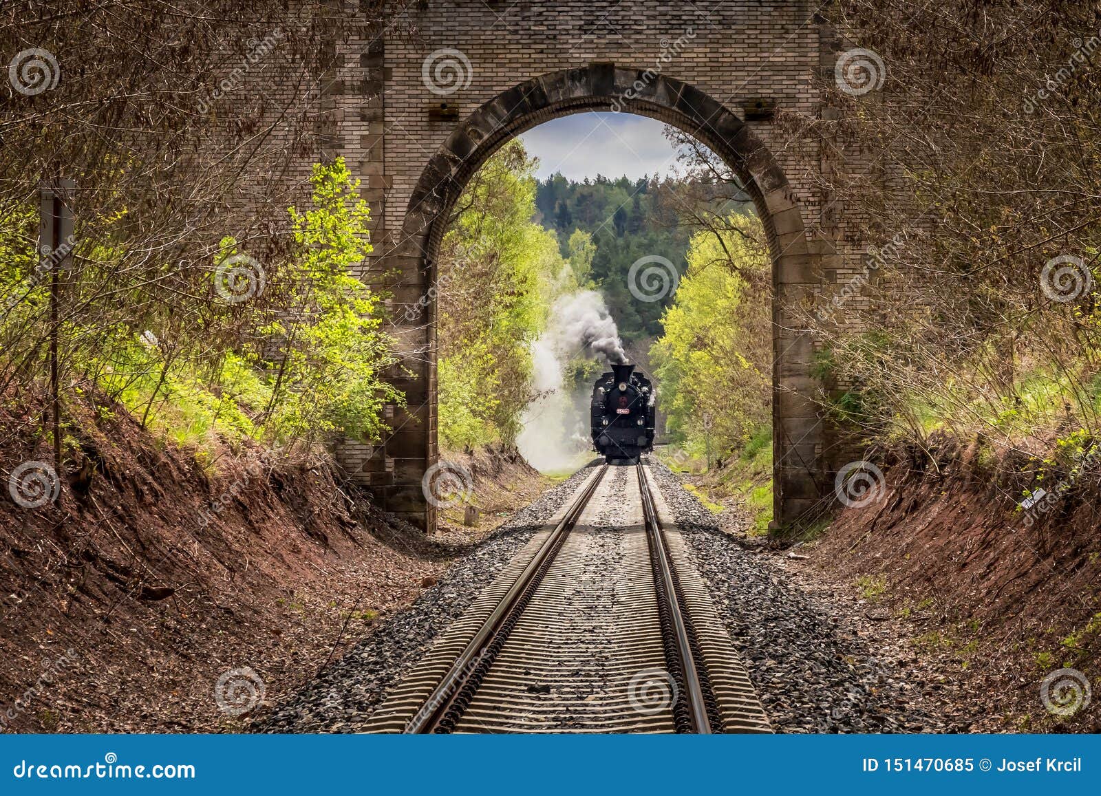 A Historic Steam Train Driving Under a Stone Bridge Stock Image - Image ...