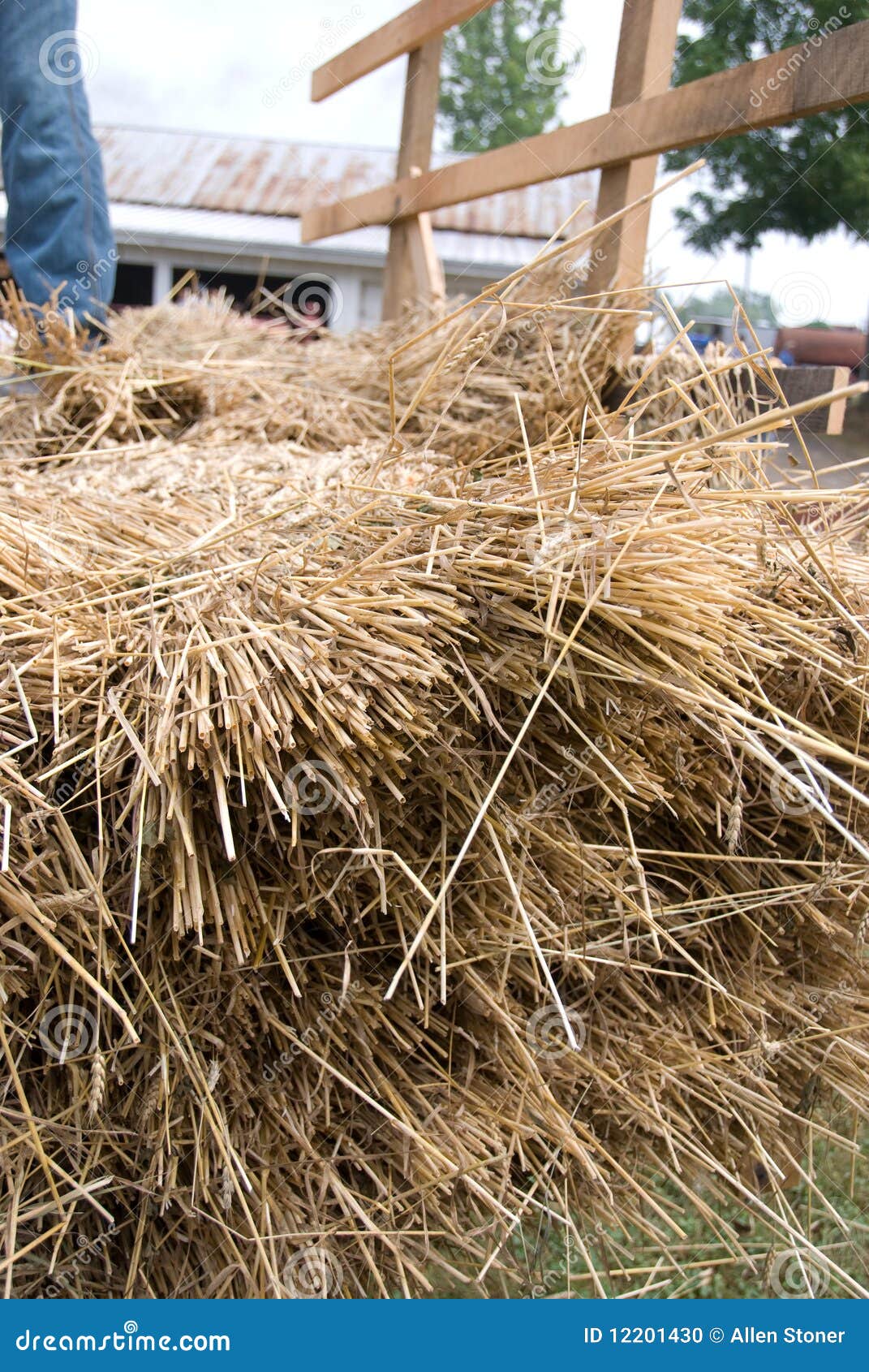 Historic threshing stock photo. Image of fodder, rural - 12201430
