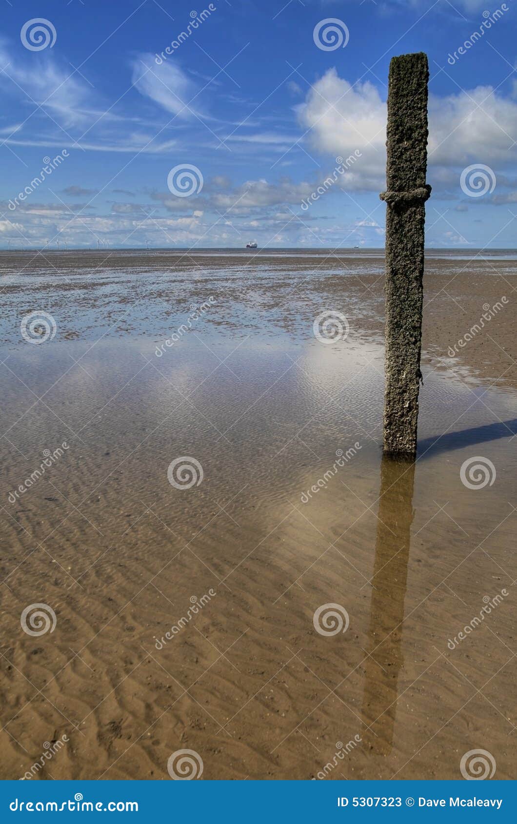Historic Tide Measuring Pole Picture. Image: 5307323