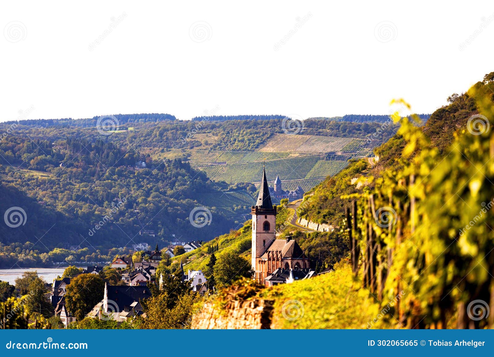 Historic Town Lorch on the German Rhine Stock Image - Image of ...