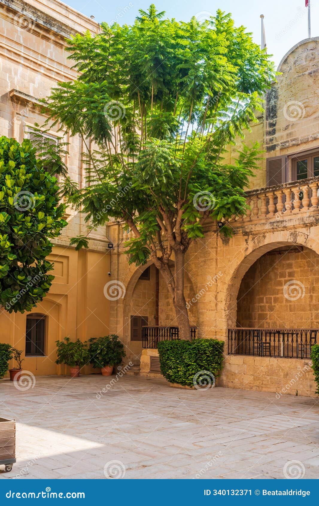 Historic town of Medina stock image. Image of cathedral - 340132371