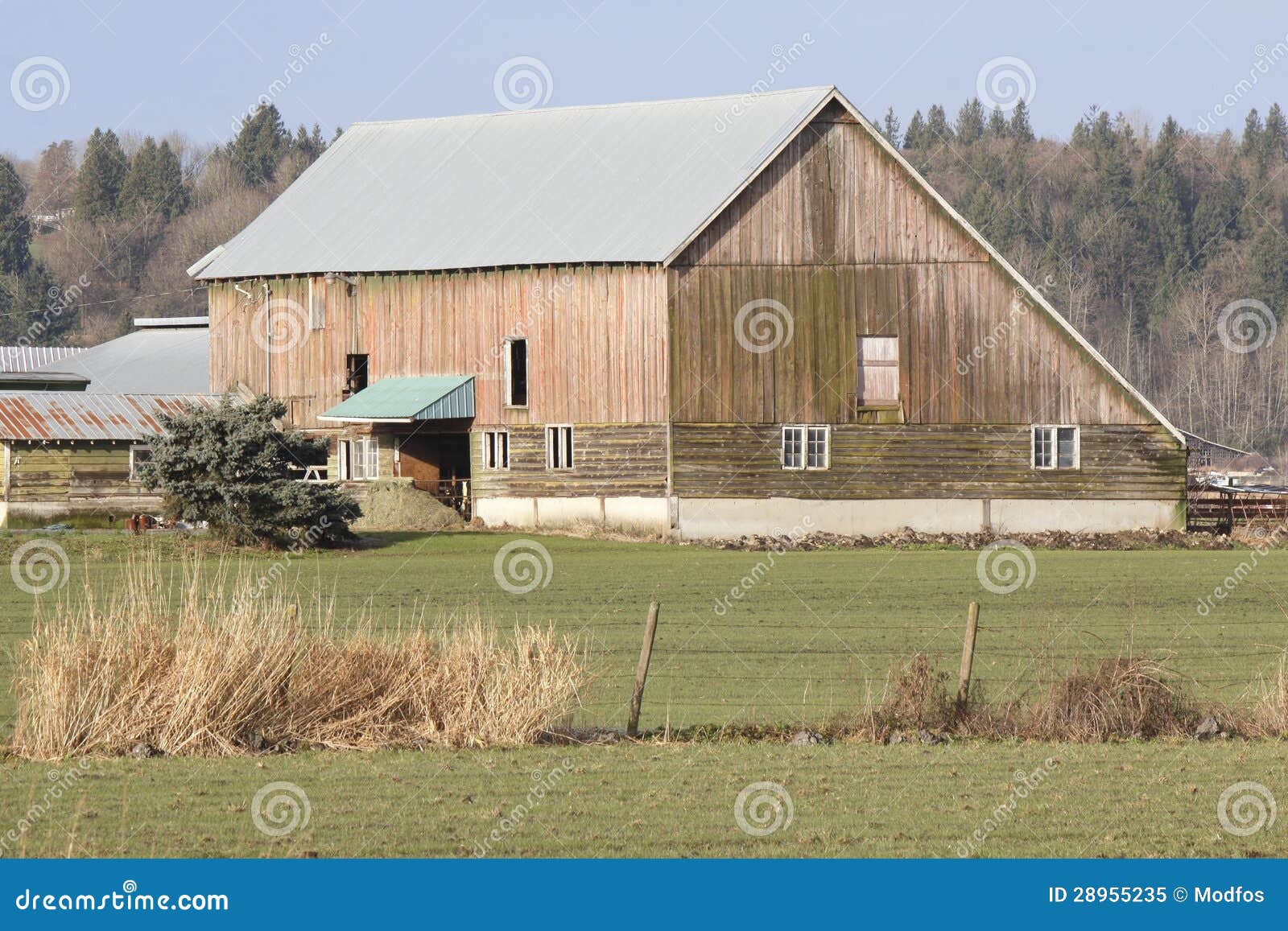 Historic Turn of the Century Barn Stock Image - Image of canada ...