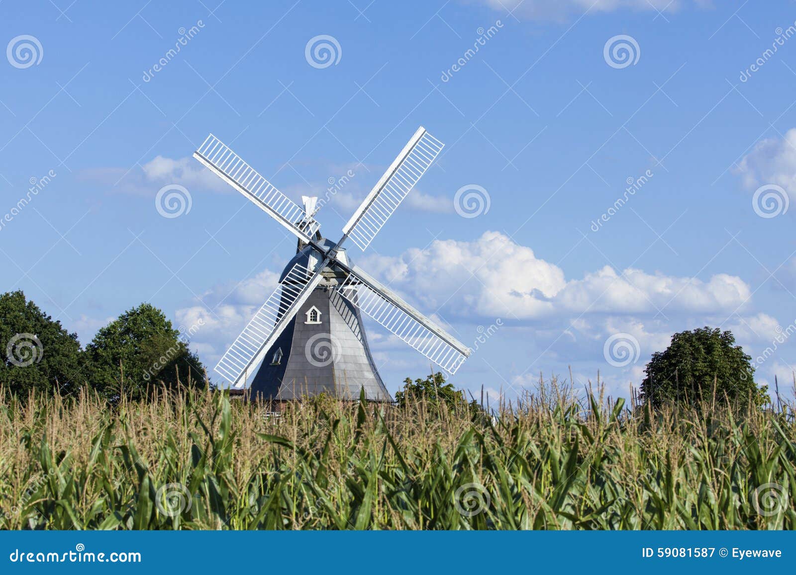 Historic Windmill Behind Corn Field Stock Image - Image of germany ...