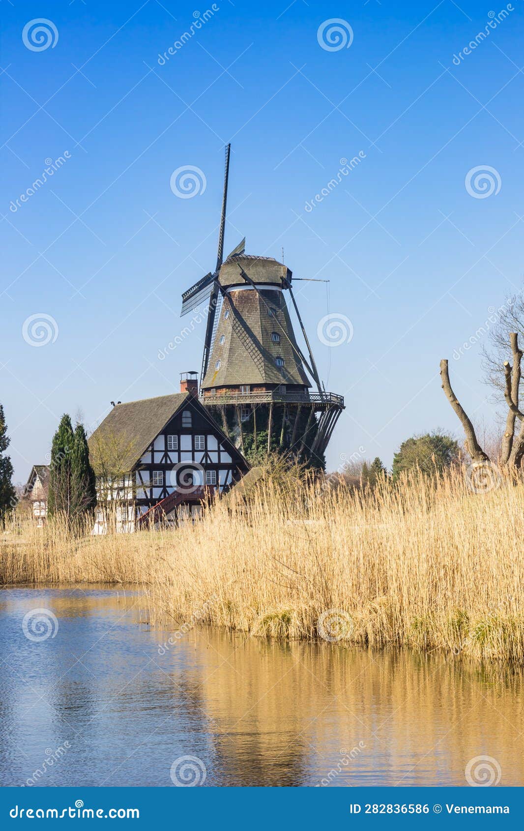 Historic Windmill and Half-timbered House in Gifhorn Stock Photo ...