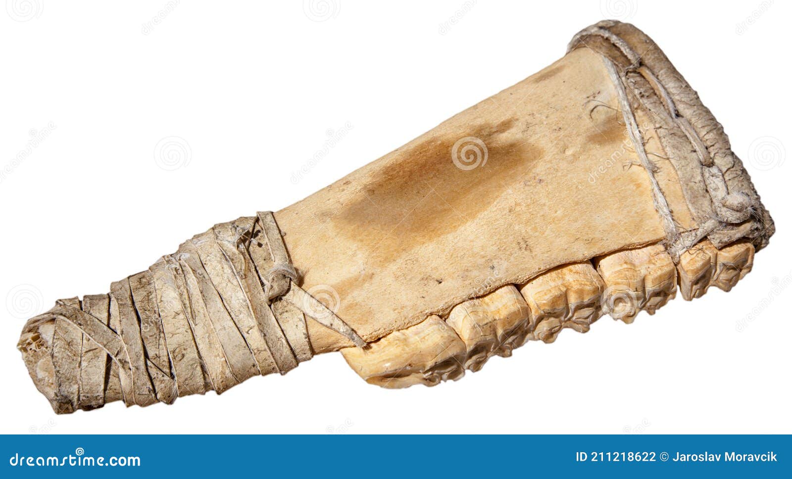 Historical bone tool stock photo. Image of object, closeup - 211218622