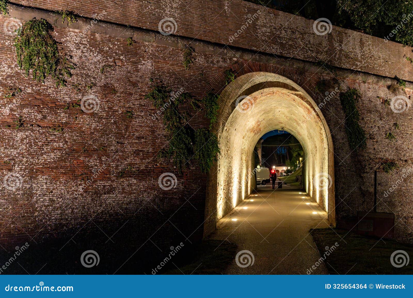 Historical Brick Archway Illuminated at Night with Greenery and a ...