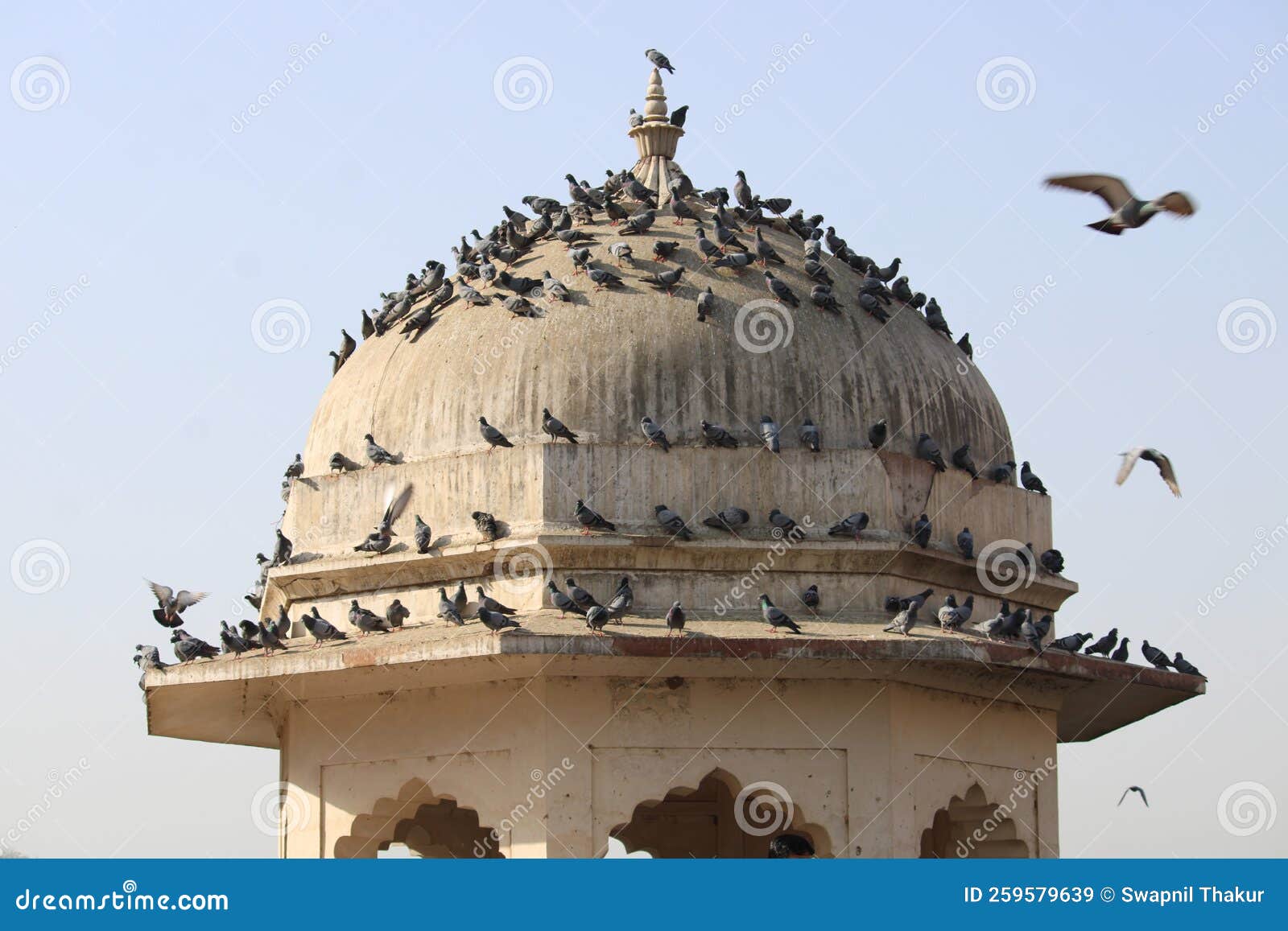 Historical of India Rajasthan Editorial Stock Image - Image of ...