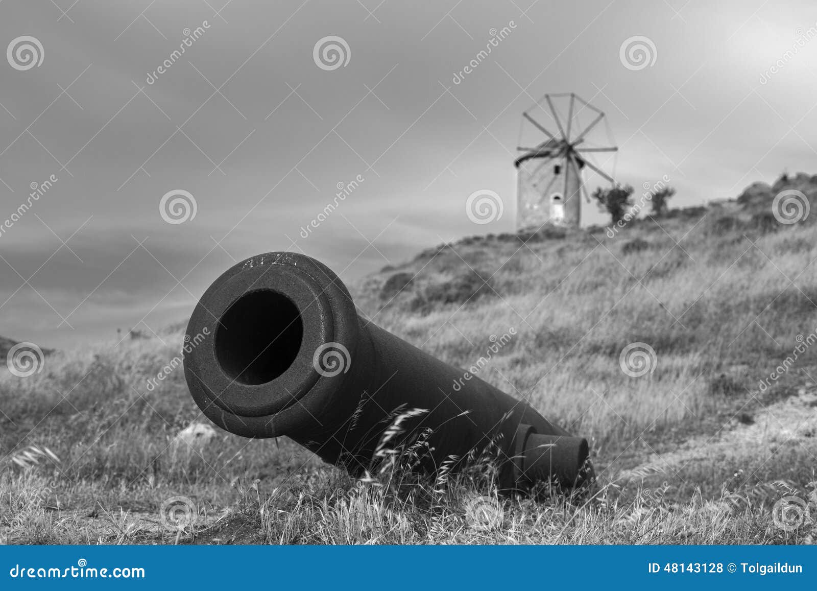 Historical Old Cannon with Windmill Background in a Meadow B&W Stock ...