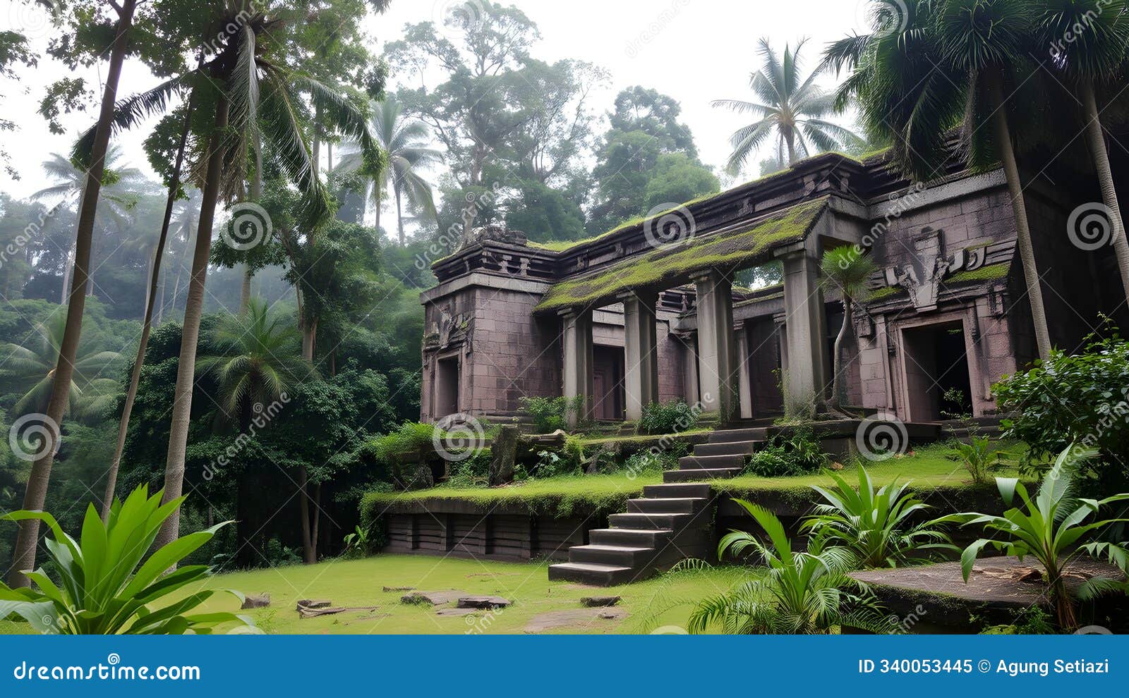 Historical Remnants Located within a Tropical Rainforest Stock ...