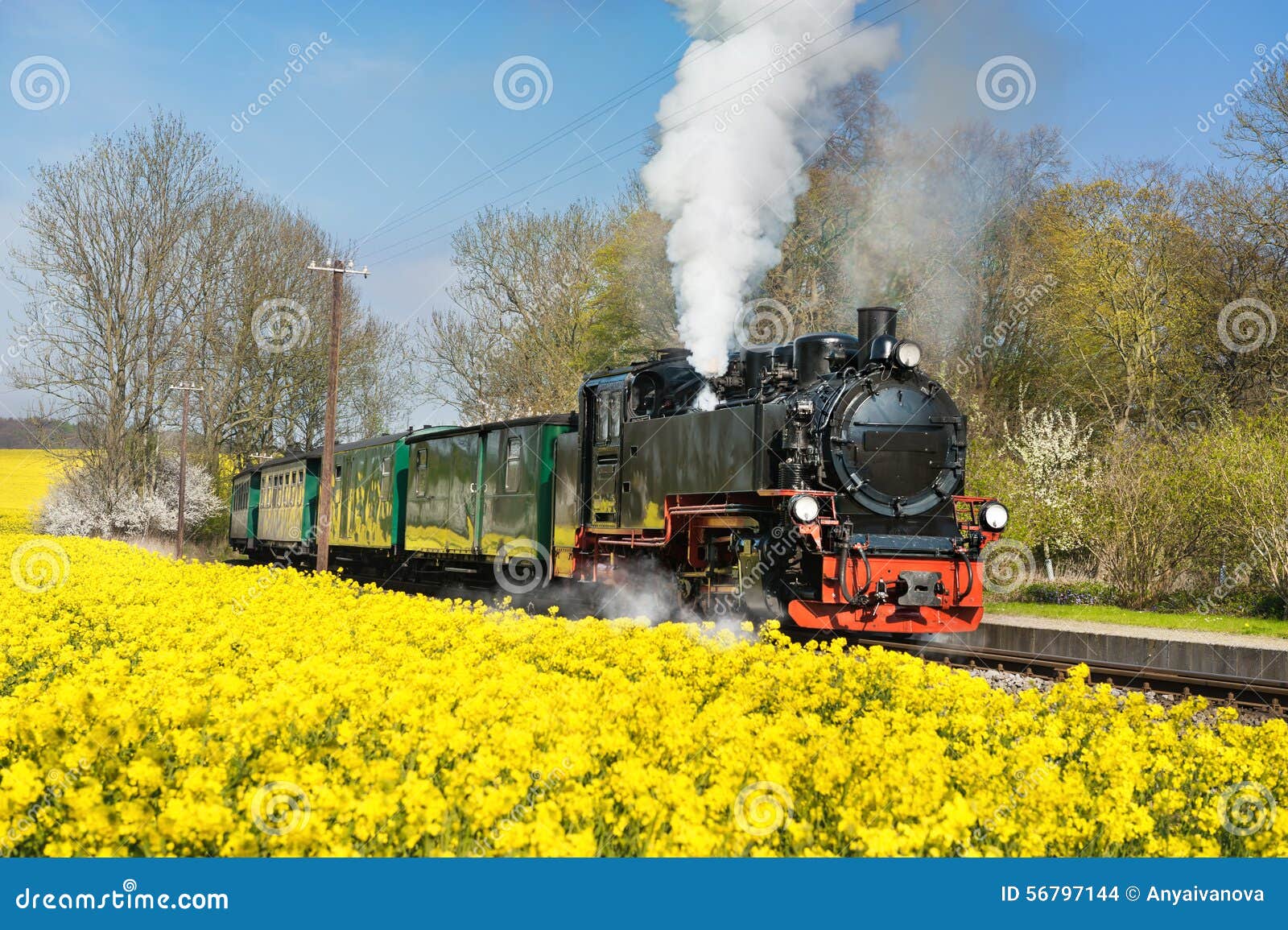Historical Steam Train on Island Ruegen in Spring Stock Photo - Image ...