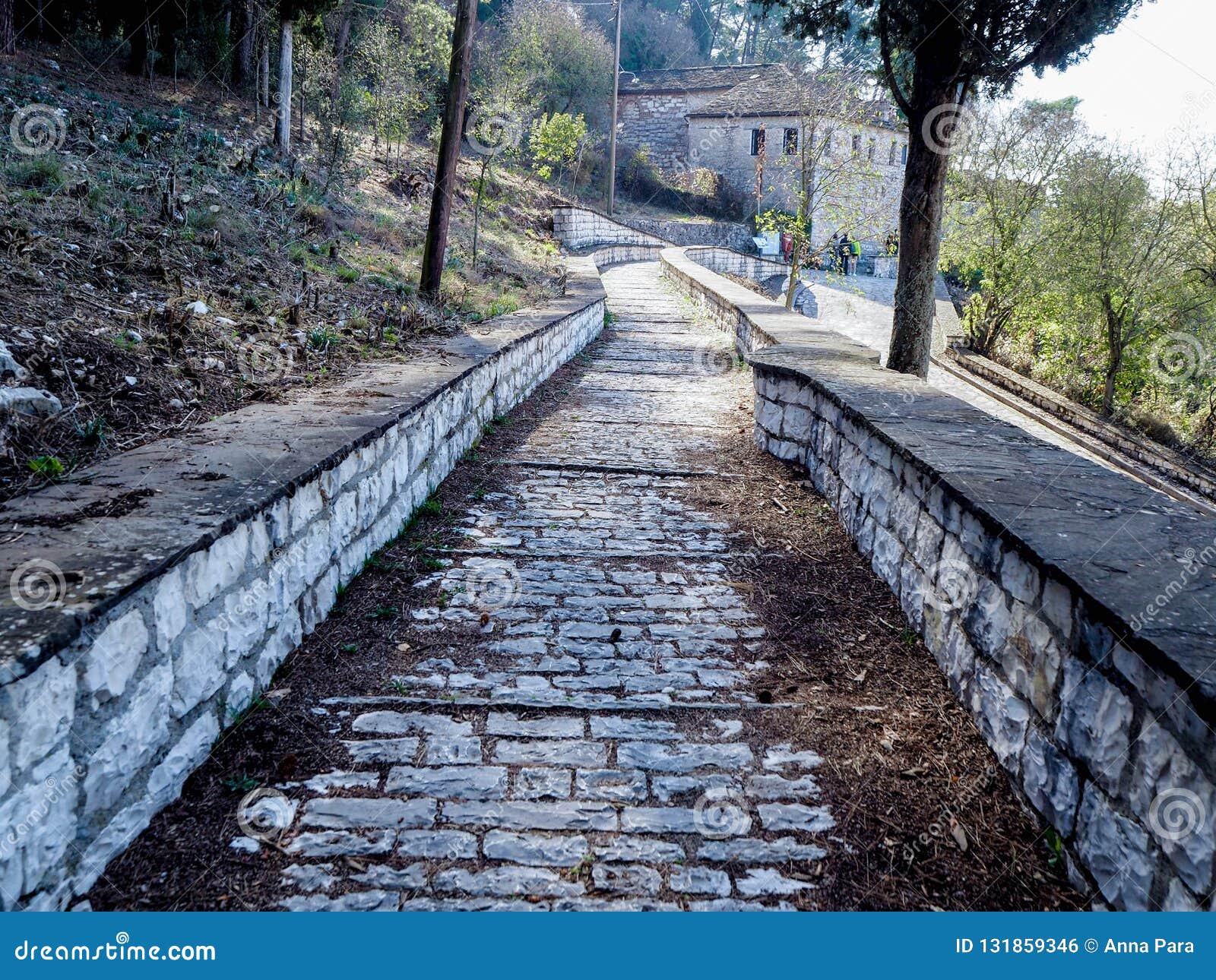 Historical Stone Path in Forest Stock Photo - Image of greek, plants ...