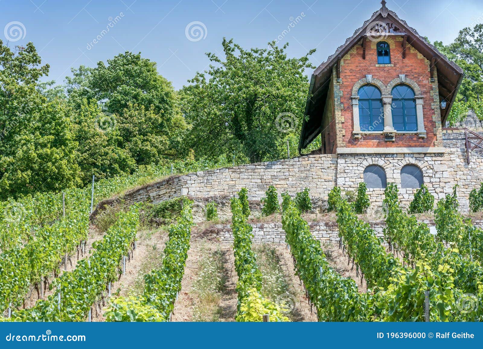 Brick house on a vineyard stock photo. Image of unstrut - 196396000