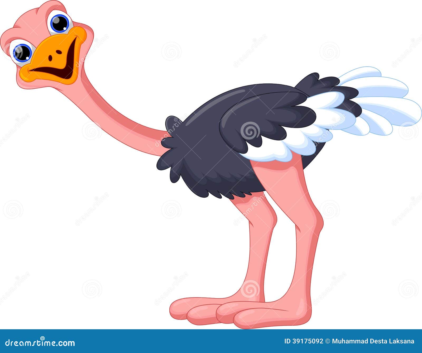 Avestruz Ilustraciones Stock, Vectores, Y Clipart – (7,326 ...