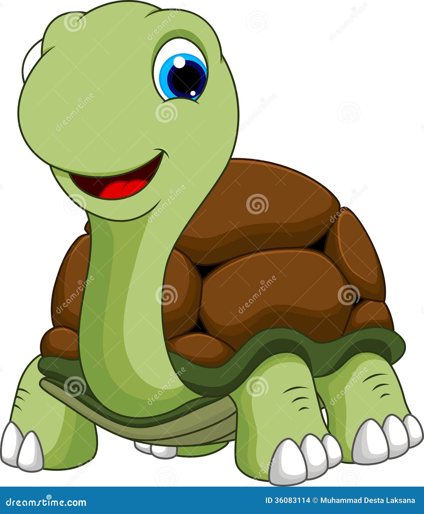 Historieta Divertida De La Tortuga Imagenes de archivo - Imagen: 36083114