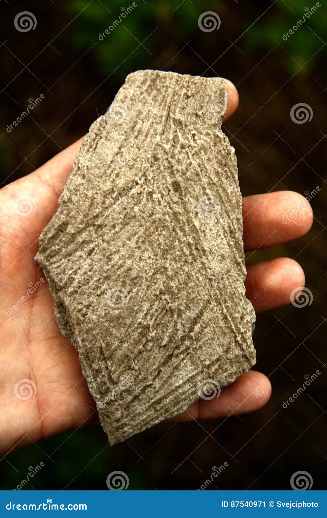 Prehistoric Sherd Stock Photos - Free & Royalty-Free Stock Photos from ...
