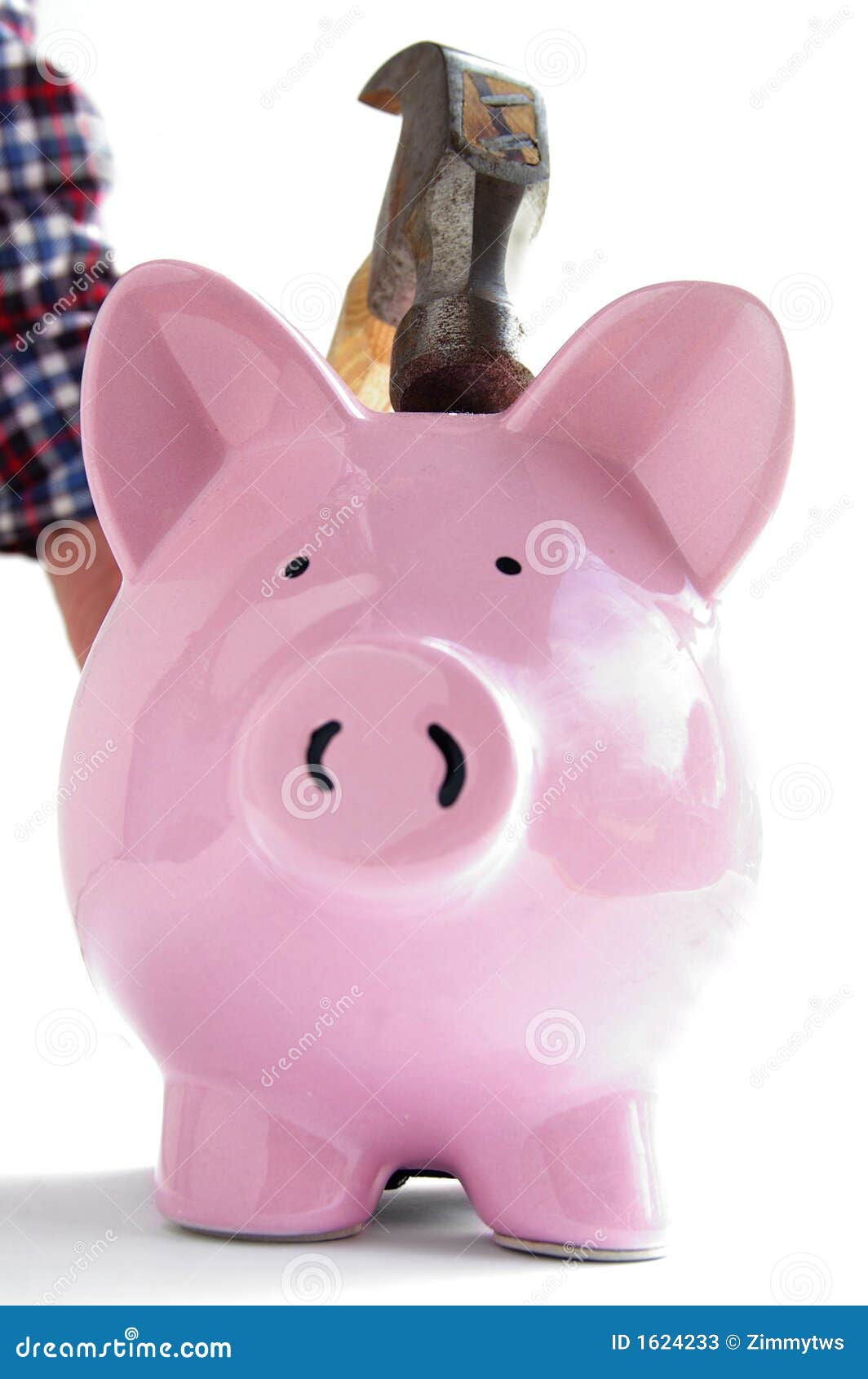 Hit the pig stock image. Image of hammer, animal, finance - 1624233