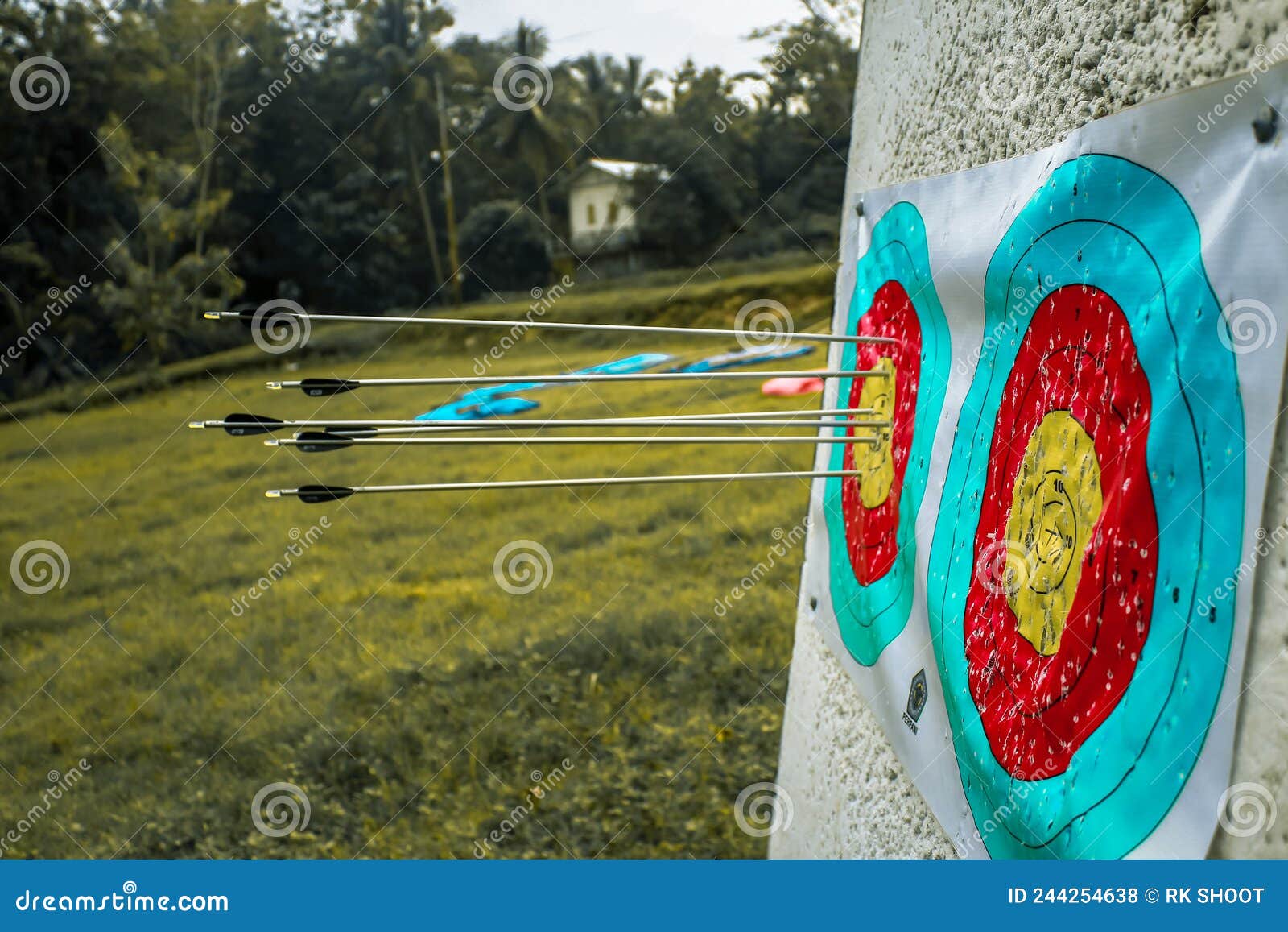 Hit the target stock photo. Image of sport, correctly - 244254638