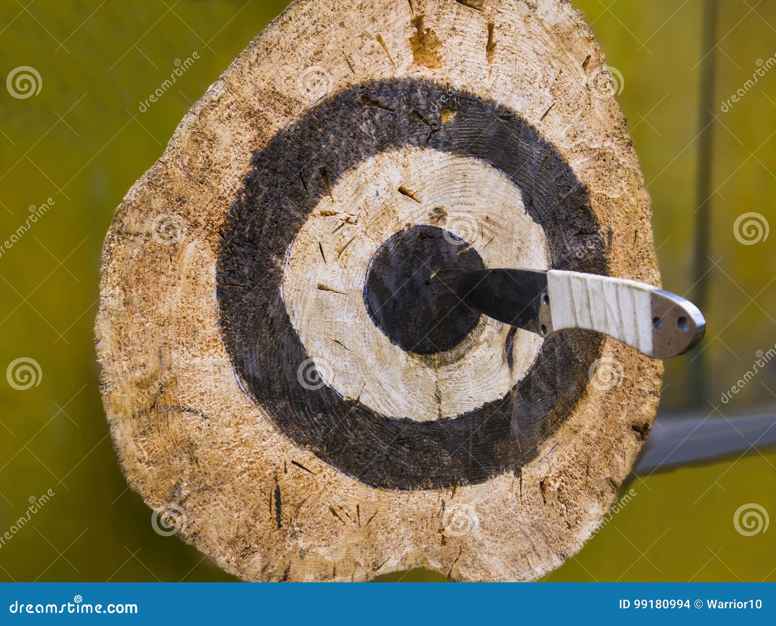 Throwing Knives in the Open Air Stock Photo - Image of target, tree ...