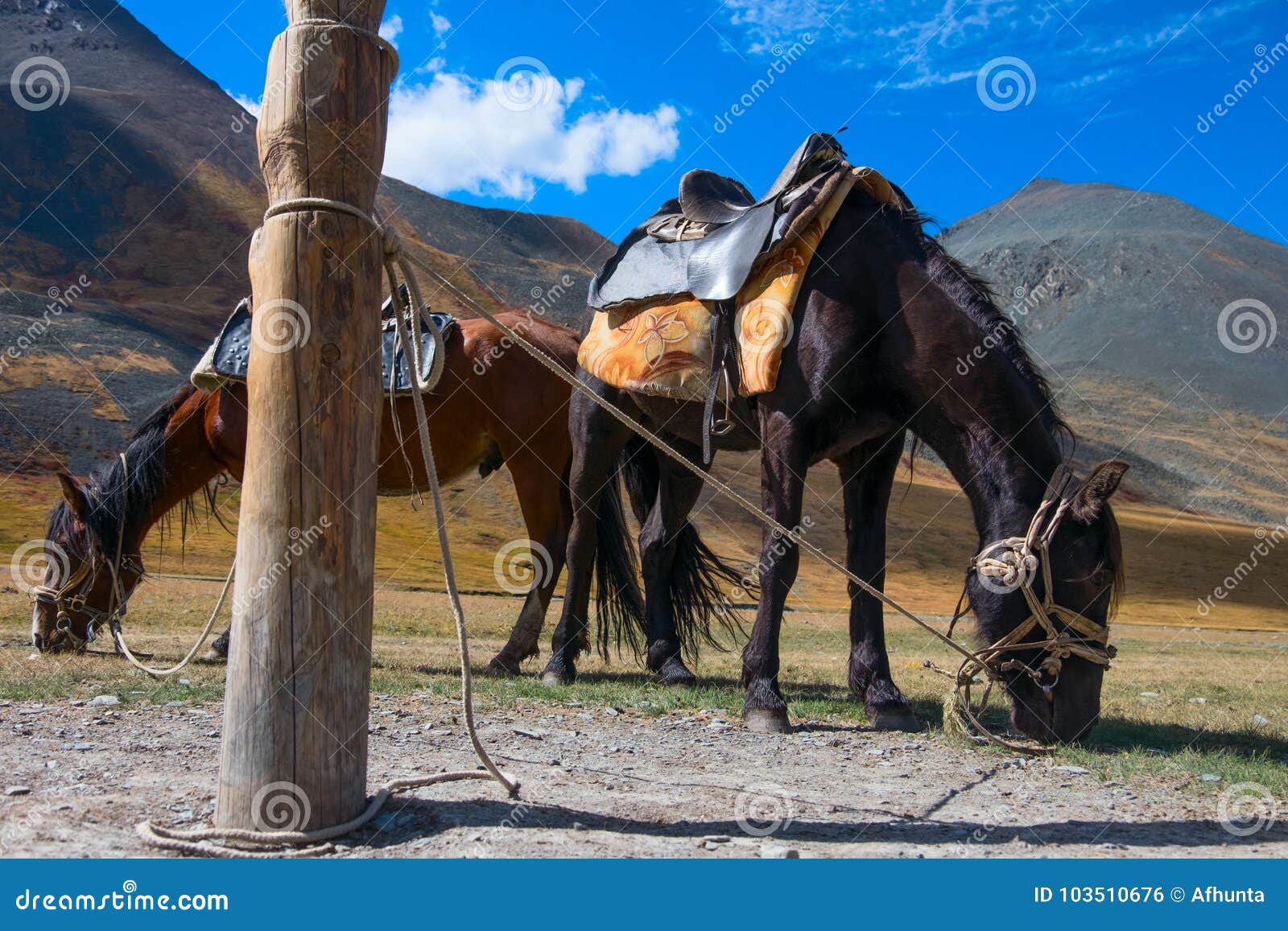Hitching post stock photo. Image of black, corral, farm - 103510676