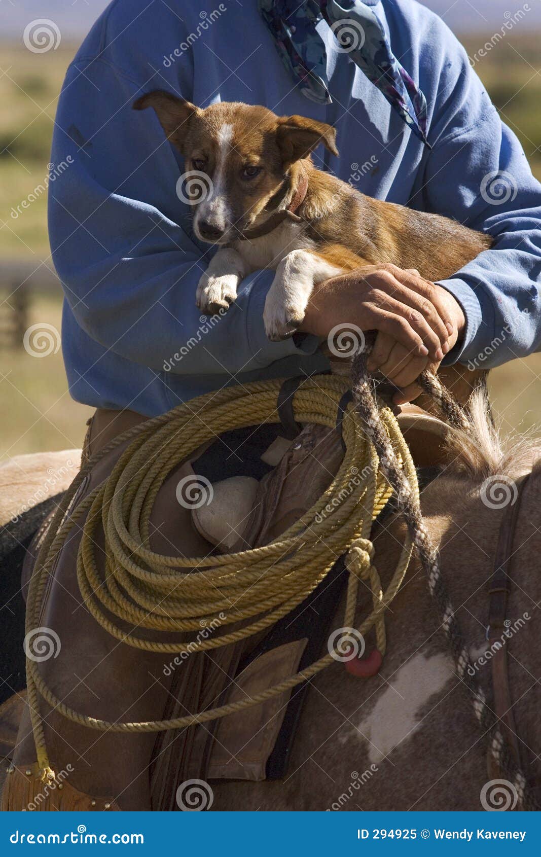 Hitching a Ride stock image. Image of ranch, cowboy, cute - 294925