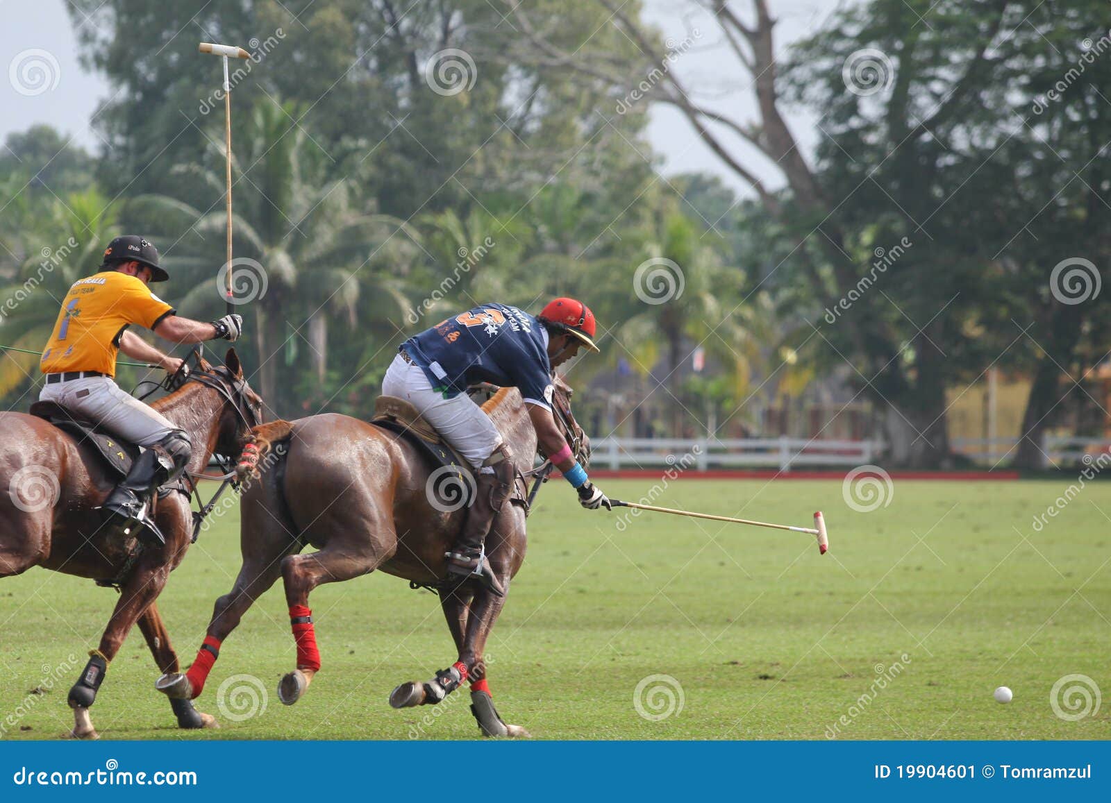 Hitting a cross editorial photo. Image of autralianpolo - 19904601