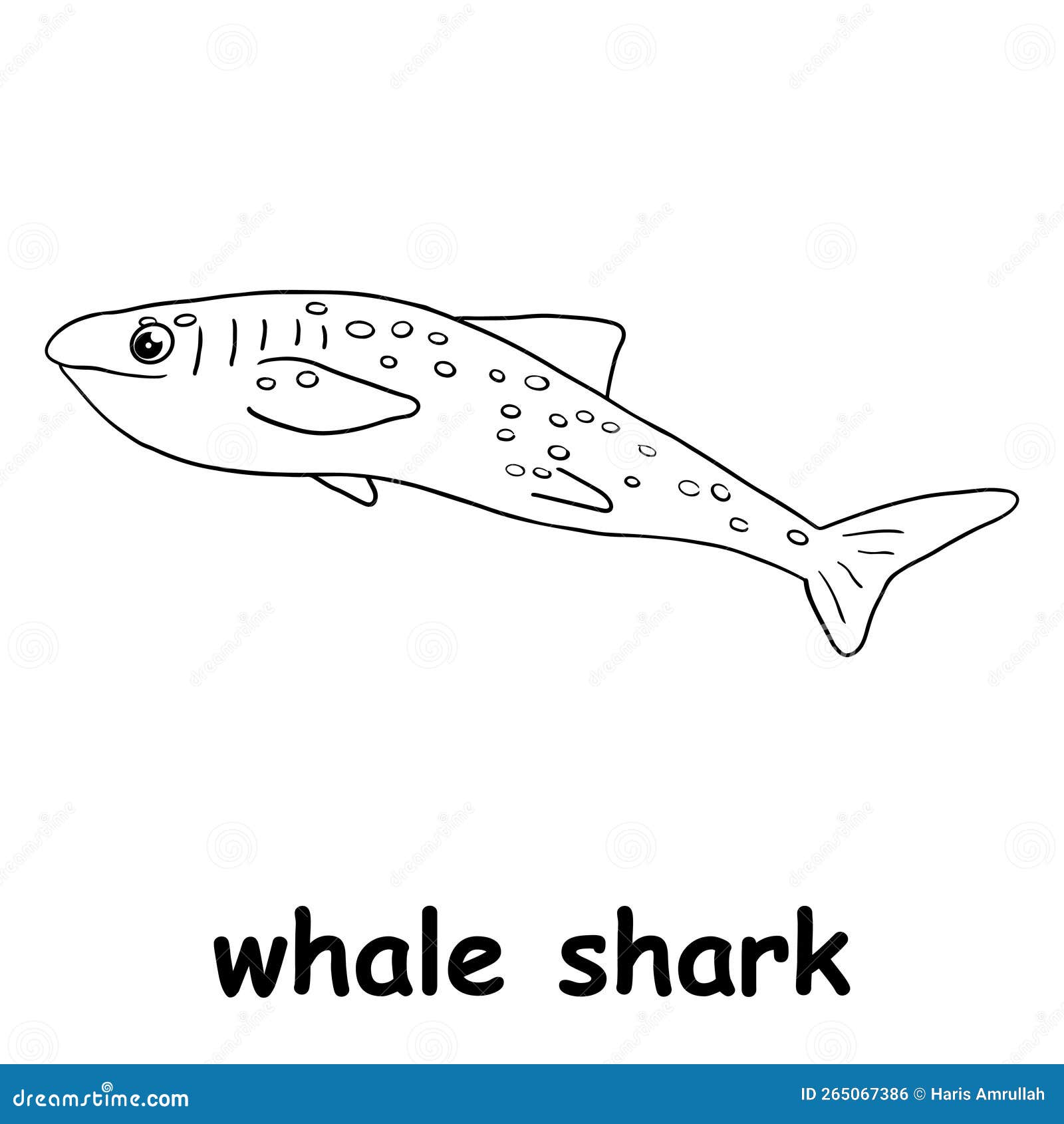Coloring Whale Drawing, Doodle Whale Illustration For Coloring Book ...